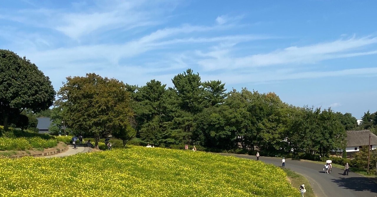 隣の日常は青く見える｜Shio/たまにぶっとんでる日記