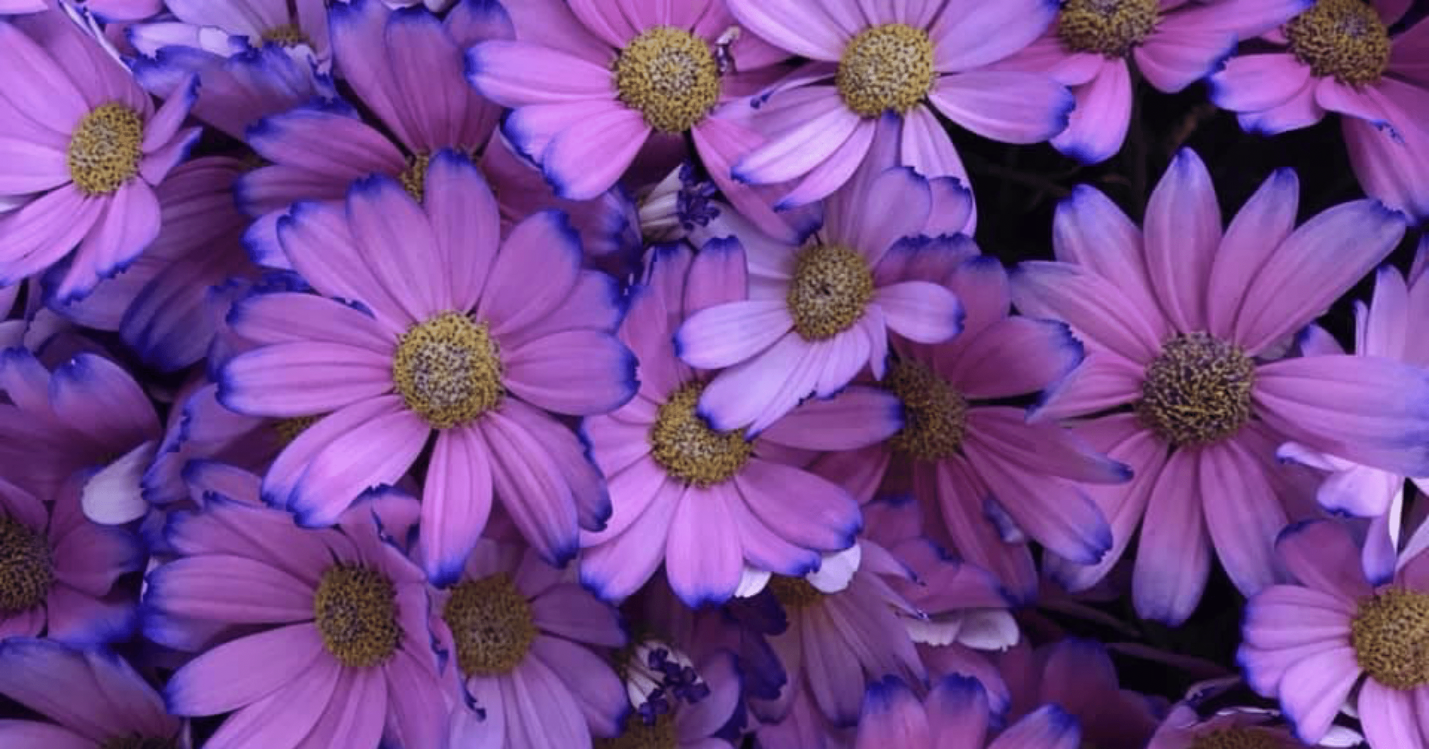 WORDS｜seiji_arita｜note