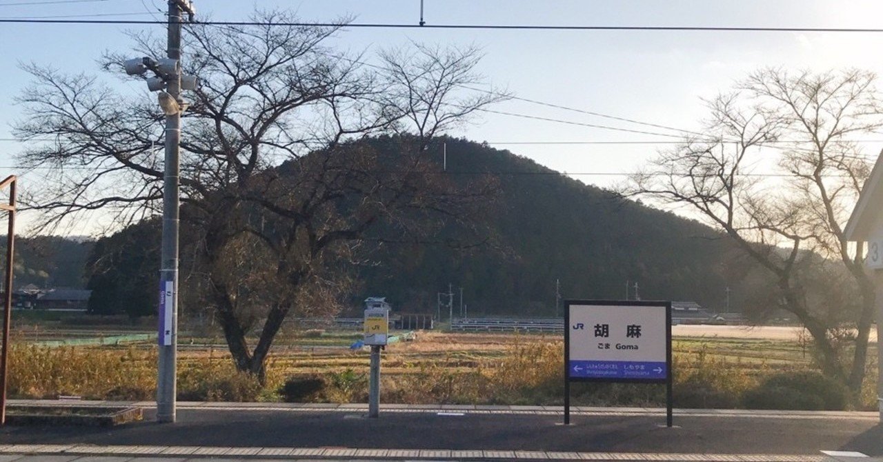 チャラオバ野生活動②｜さむやん