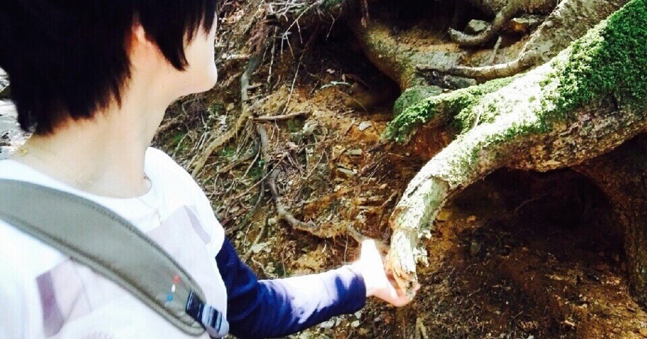 別々の道を進む魂たちへ｜Chie coco