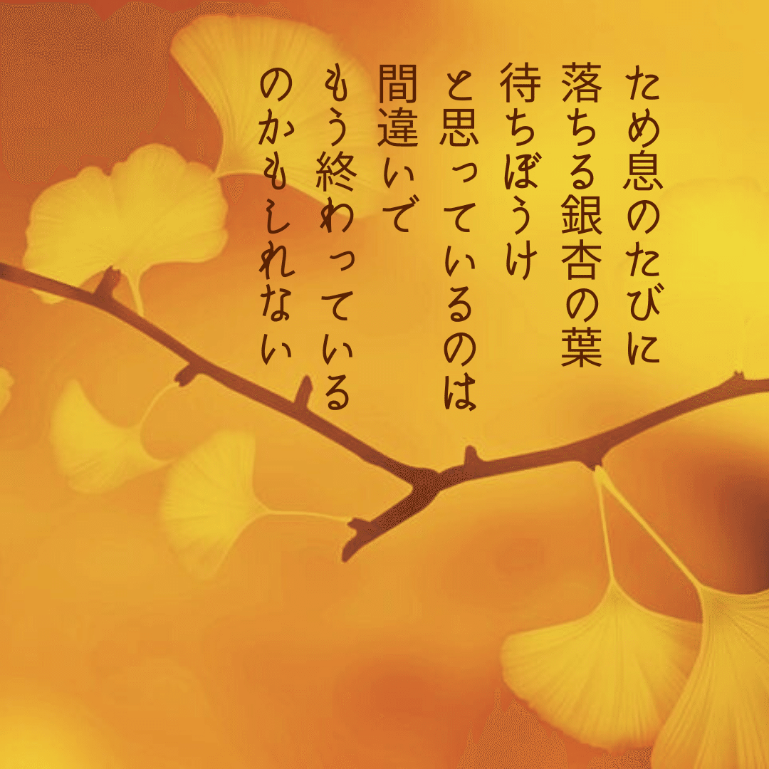 『かもしれない』ー詩ー｜cofumi（こふみ）詩＊音楽