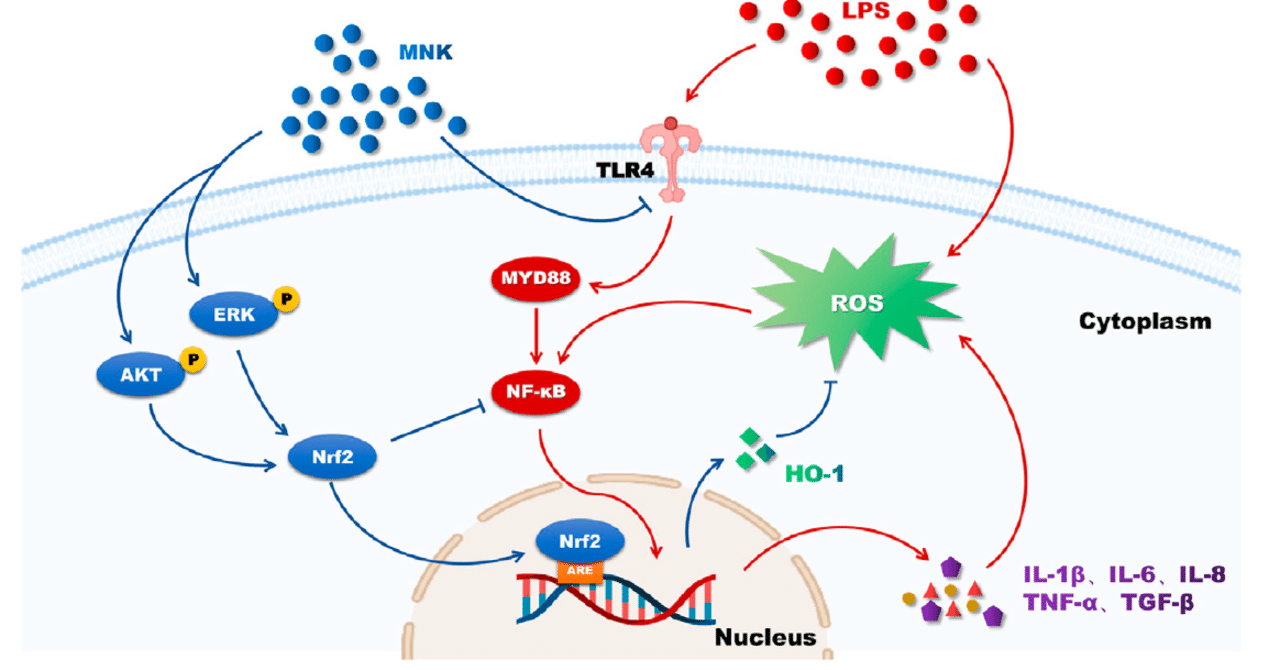 書記が論文読むだけ#1009-2-Methyl Nonyl Ketone From Houttuynia Cordata Thunb ...