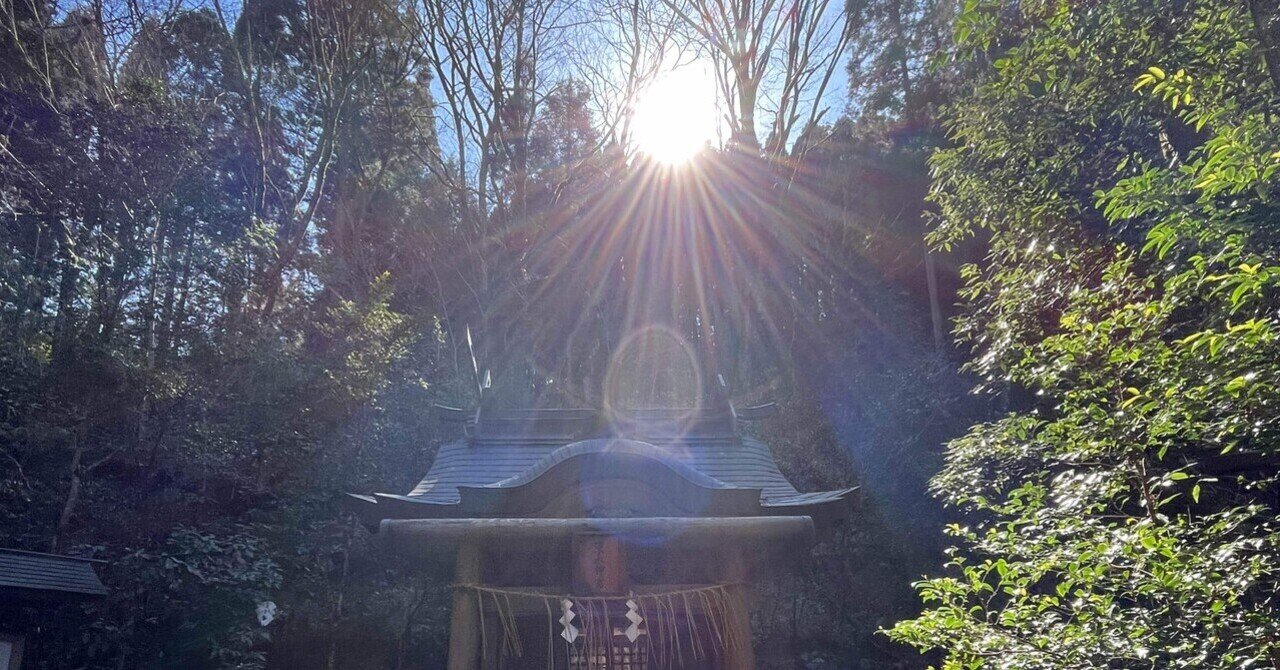 太陽光って気持ちいいんですね。｜Kosuke Maruta