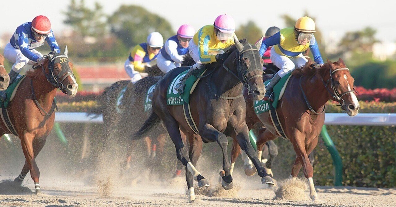 11月12日 【枠連投資馬券塾】JRA 東京11R 武蔵野S ダ1600m【A】｜枠連投資億を稼ぐ馬券術！現役馬主