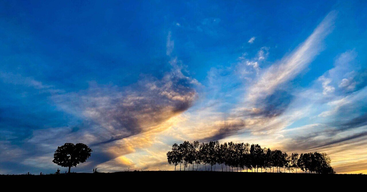 初めての北海道の旅♡＃4 〜美瑛編②〜｜marimo