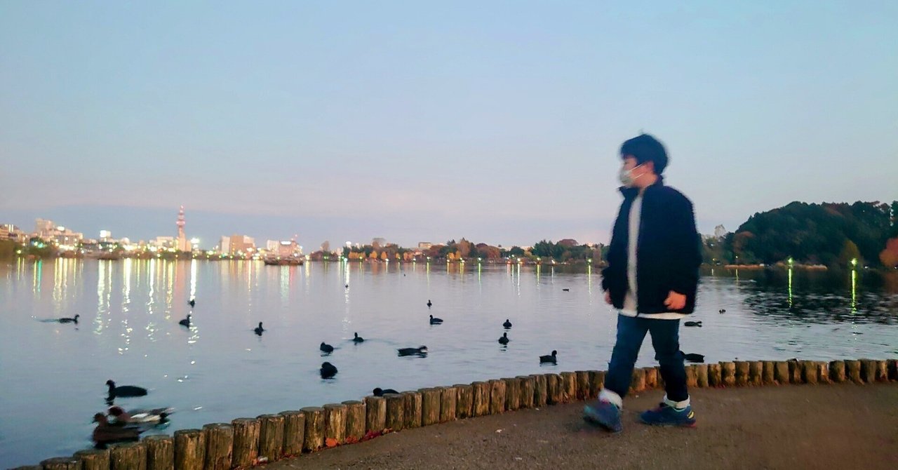 ＊秋夜さんぽ｜sola.｜note