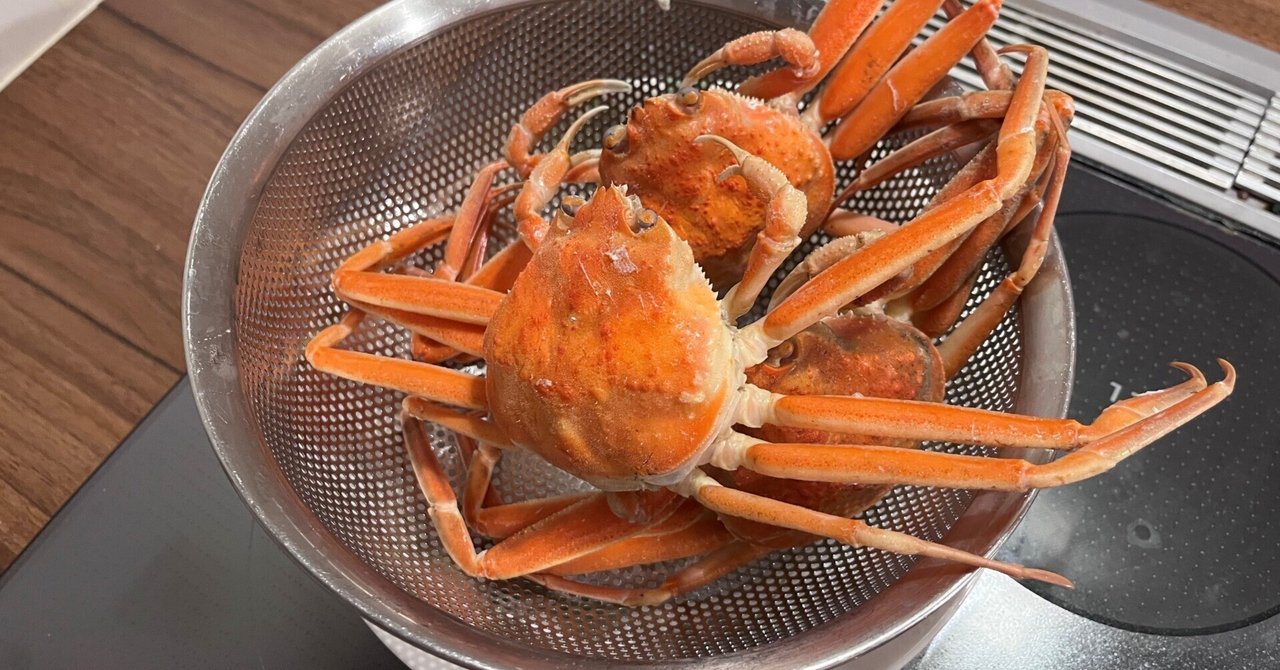 今日の1枚（2022/11/12）｜Chikako｜note