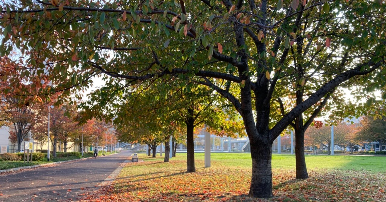 どんなことも恵みとすることができる神様の世界｜ck_wakaba