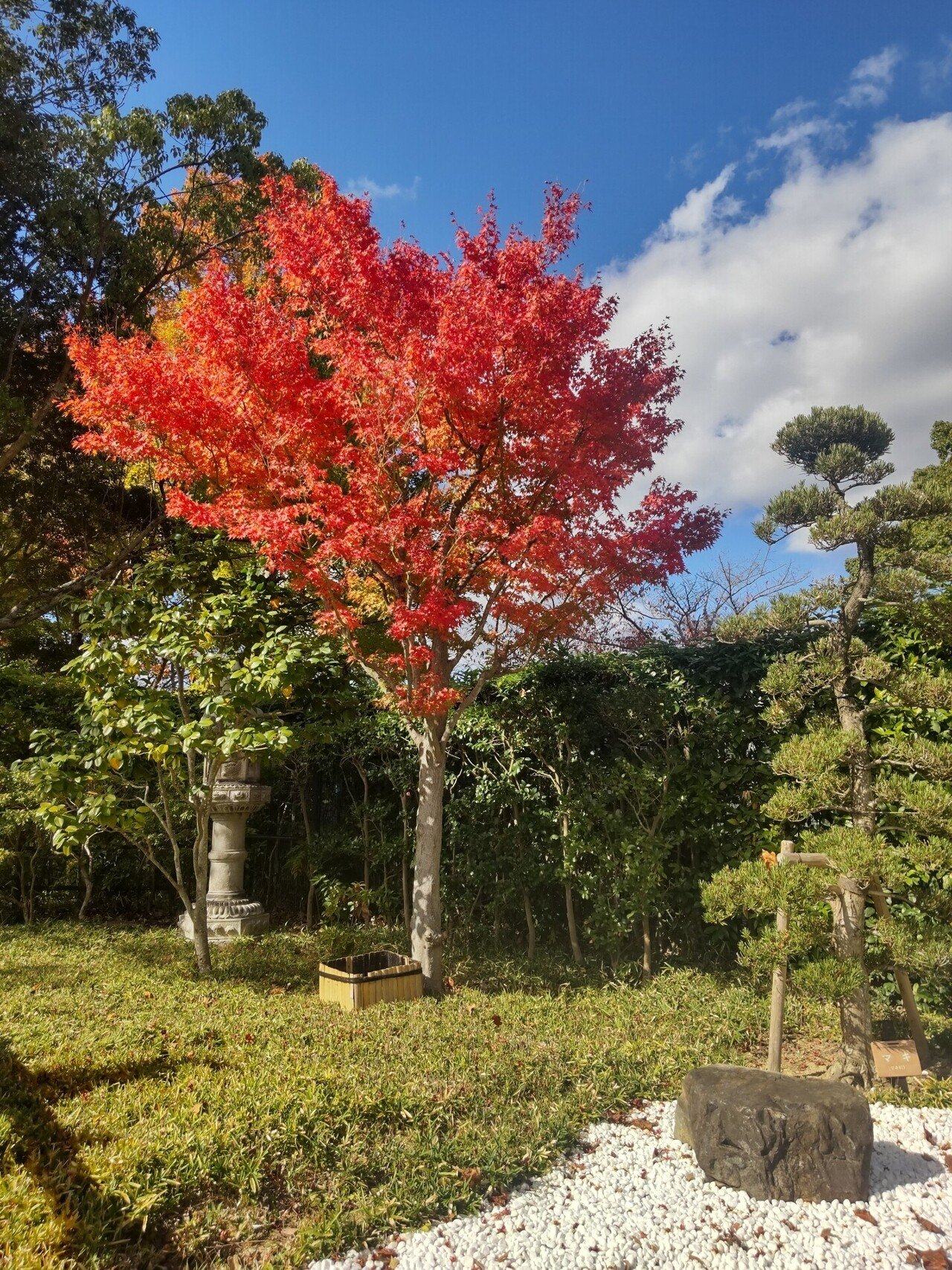 神戸しあわせの村 日本庭園｜粋奈suna｜note