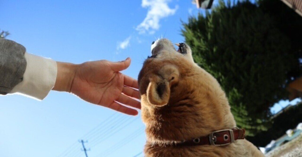 スタートの日。｜Fuku*Kirin｜note