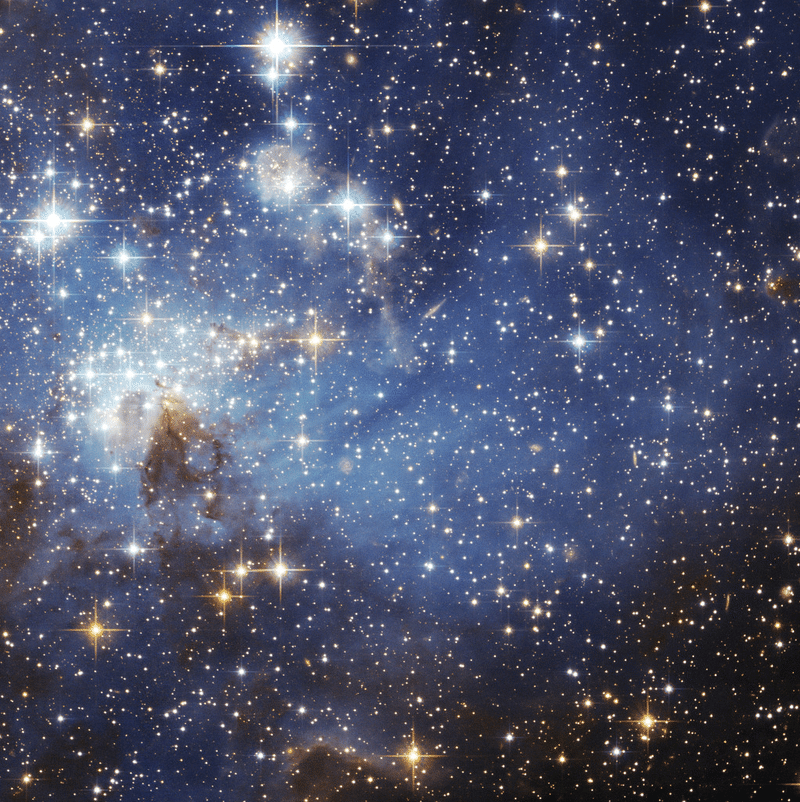 Starfield pattern｜TKG画像診断