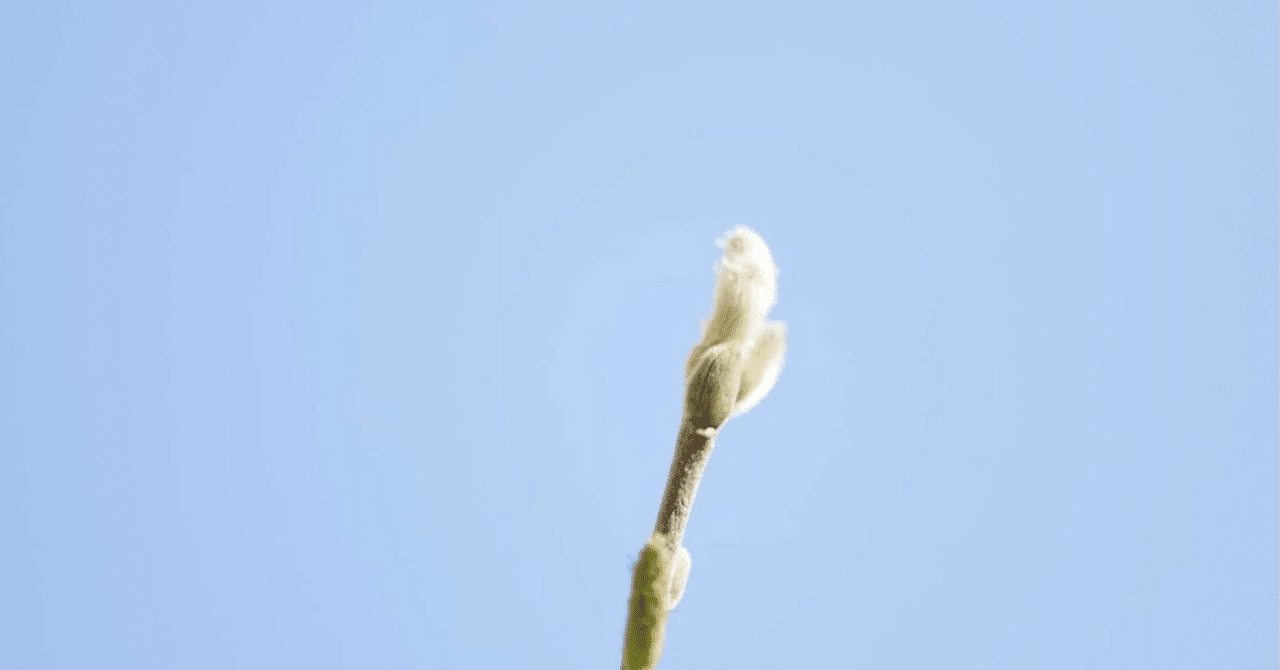 どこにもないもの｜スネ夫走り