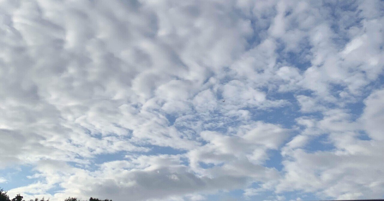 リアルを追求したい〜ものつくり〜｜kyo☆ko｜note