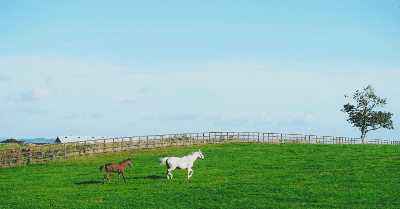 【マイルチャンピオンシップ2022】1週前追い切り評価🐎｜webwriter_U｜note