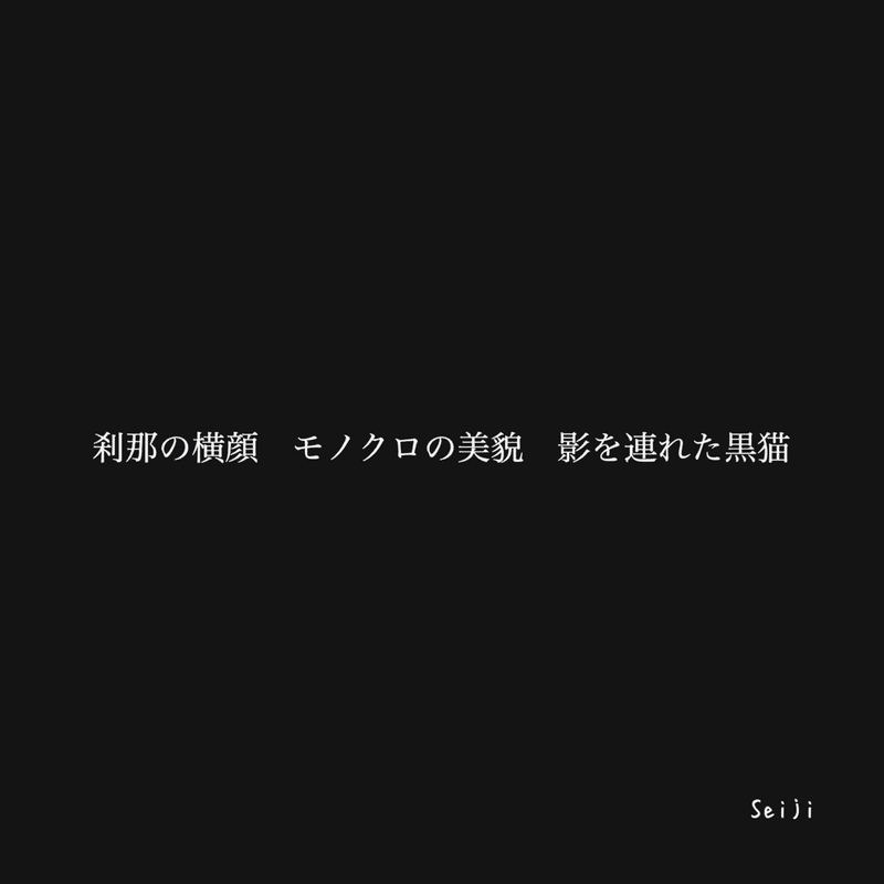 詩 《詩》｜seiji_arita｜note