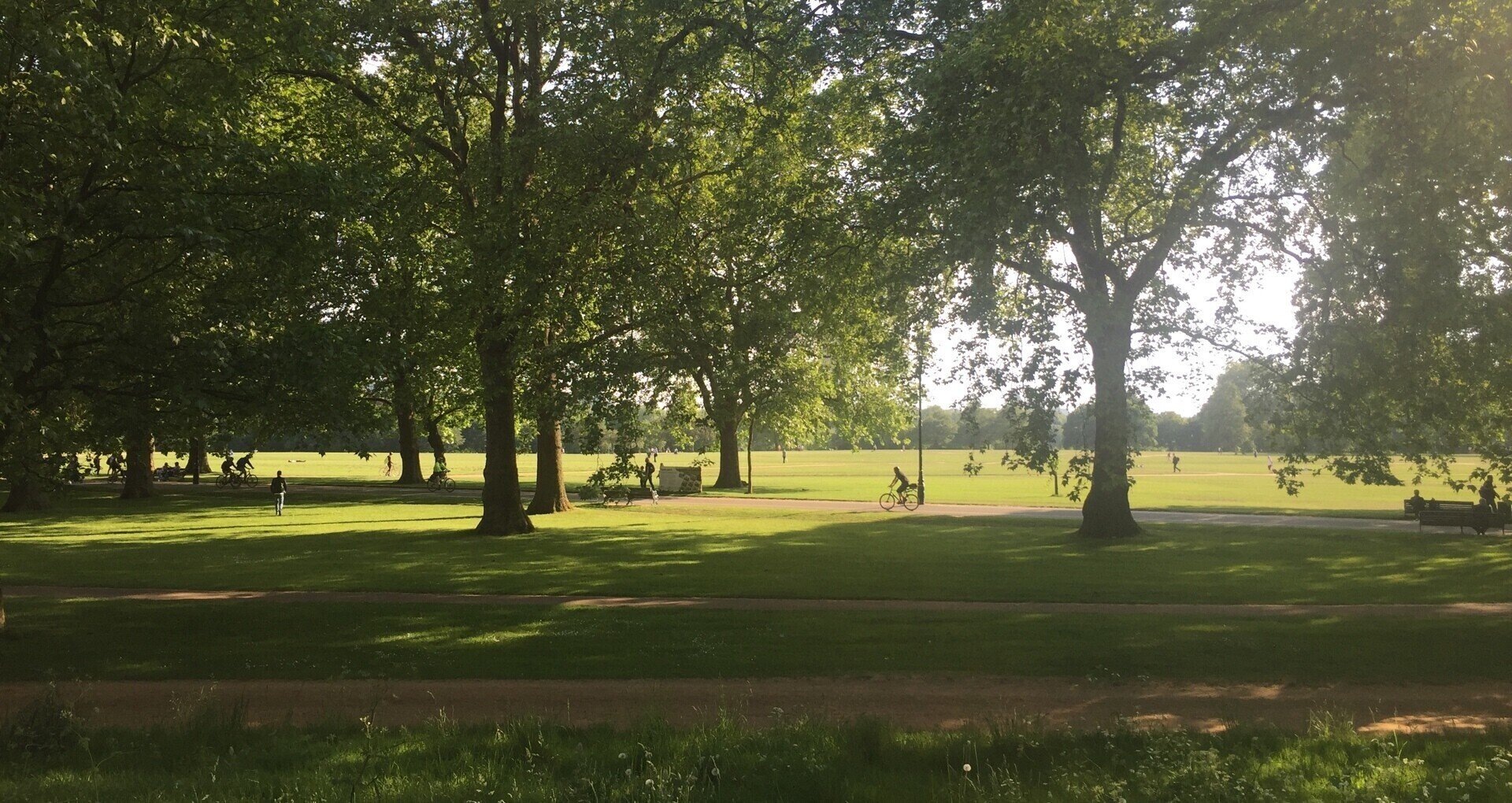 Satoko Matsuura｜note