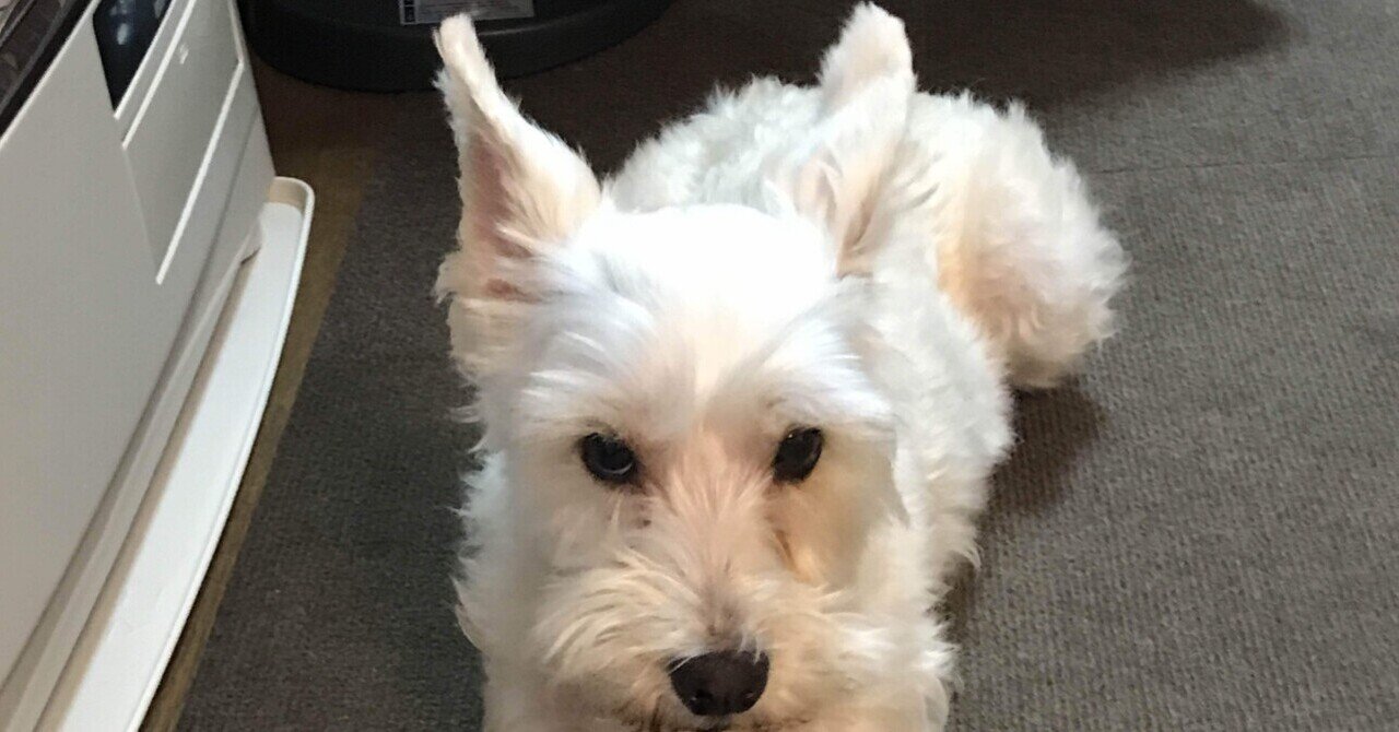 北海道旅行、2日目｜piroko