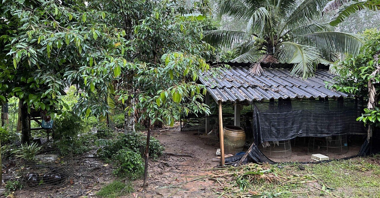 SAMURAI FARM in Nakhon si thammarat｜SAMURAI FARM