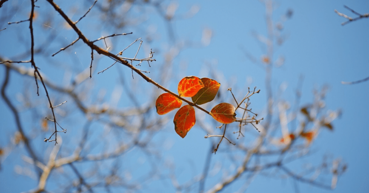 丸亀10R 19：44 ｜競艇マニア｜note