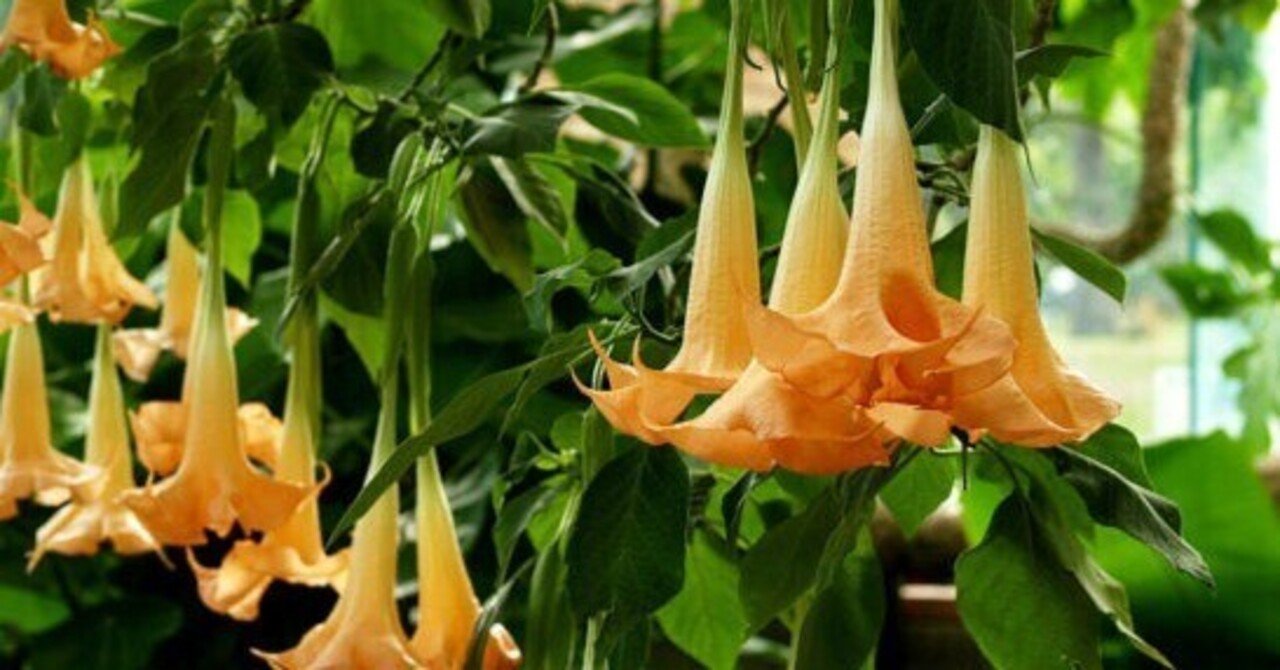 心の高さ｜Yukiii