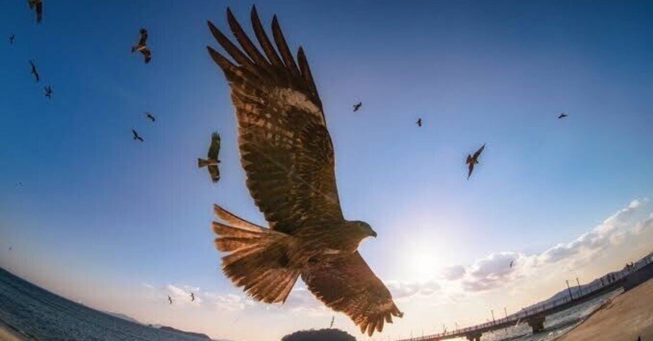 11/15 下関3R 16:10 今日イチ勝負レース🔥🔥🔥｜カドすけ