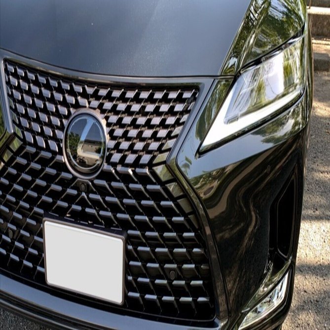 遂に！LEXUSエンブレムデアソベ｜Grazio&Co.社長日記2.0｜note