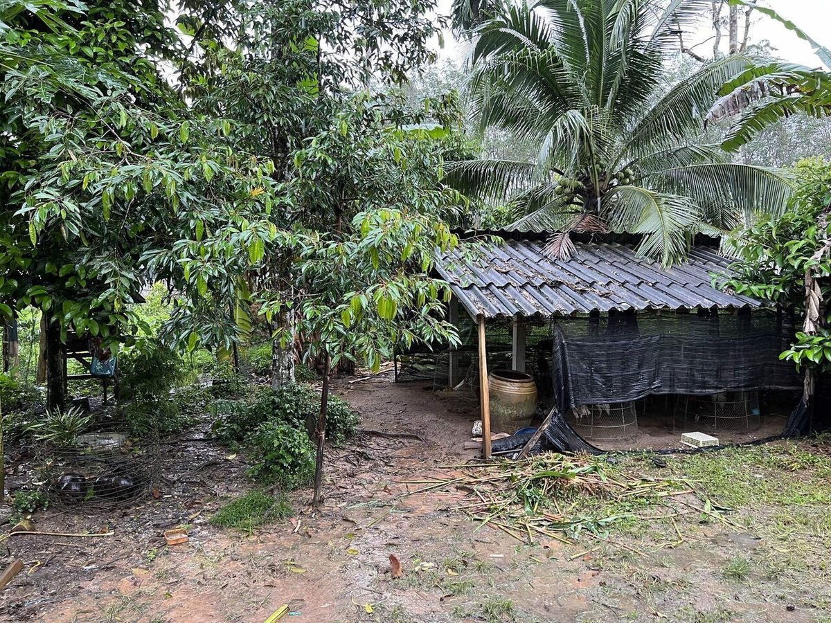 SAMURAI FARM in Nakhon si thammarat｜SAMURAI FARM