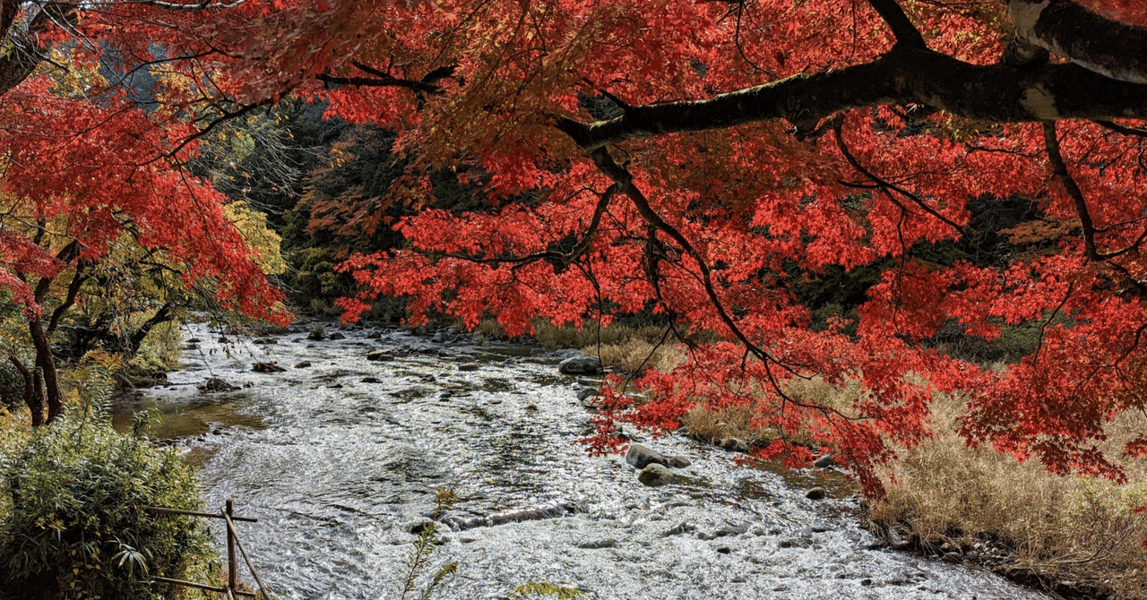 ☆11/15 若松7R 17:59☆｜みるく｜note