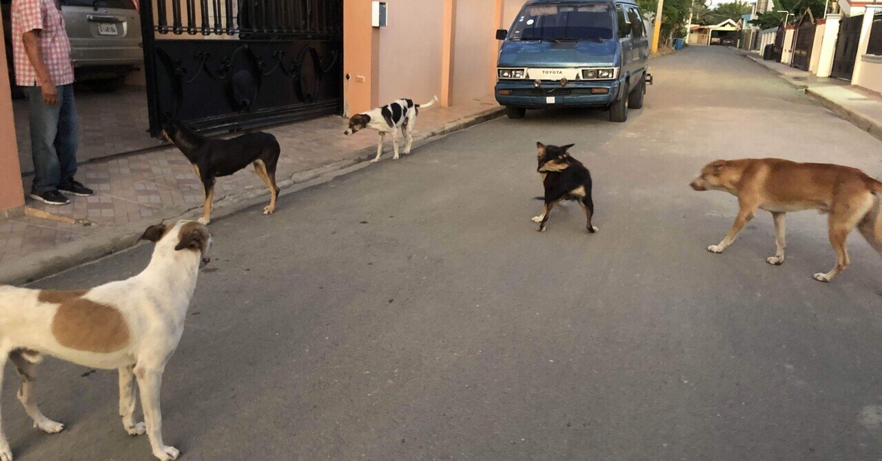 プチお祝い｜Rich｜note