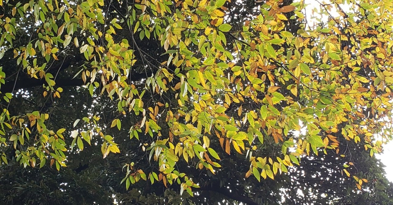 エネルギーを自分へ向ける｜kitoma