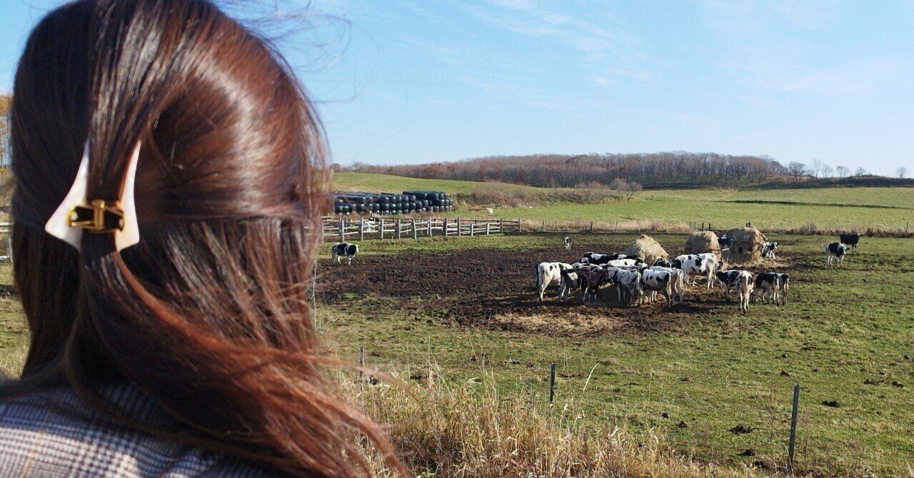 夫の故郷へ③ ～”何もない”ことの美しさ～｜Fuku*Kirin｜note