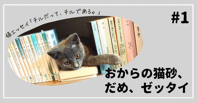 KOHEYA Ryutaro｜note