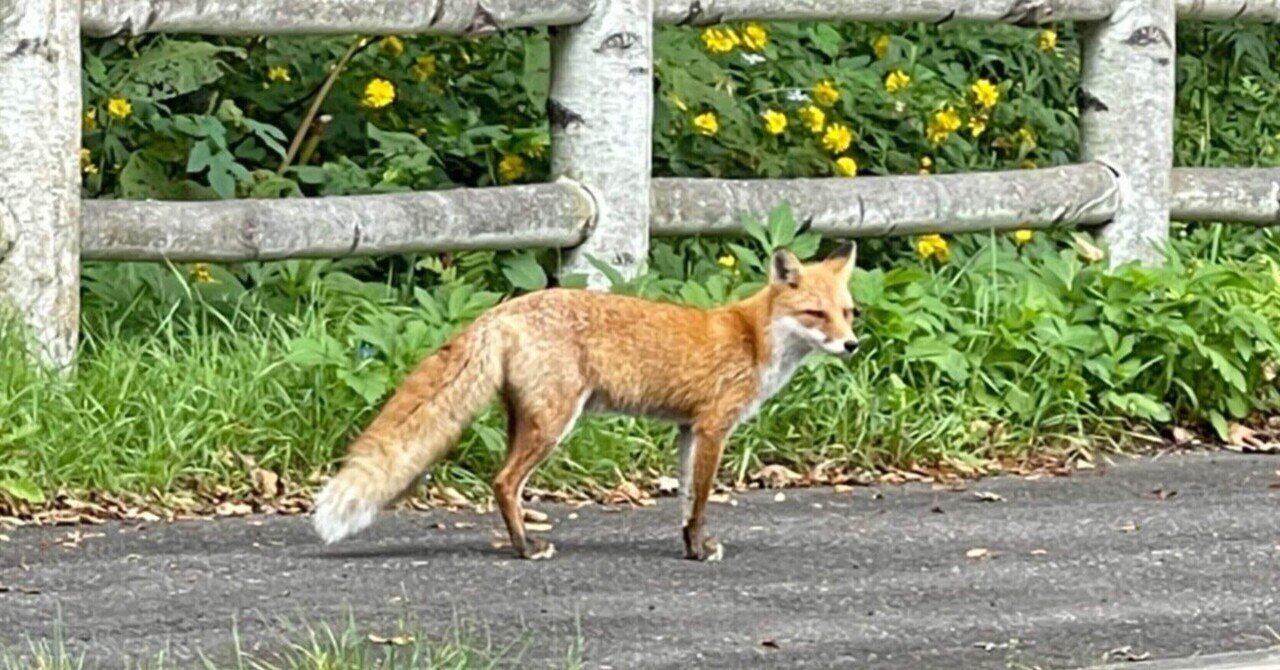 北海道旅行、3日目｜piroko