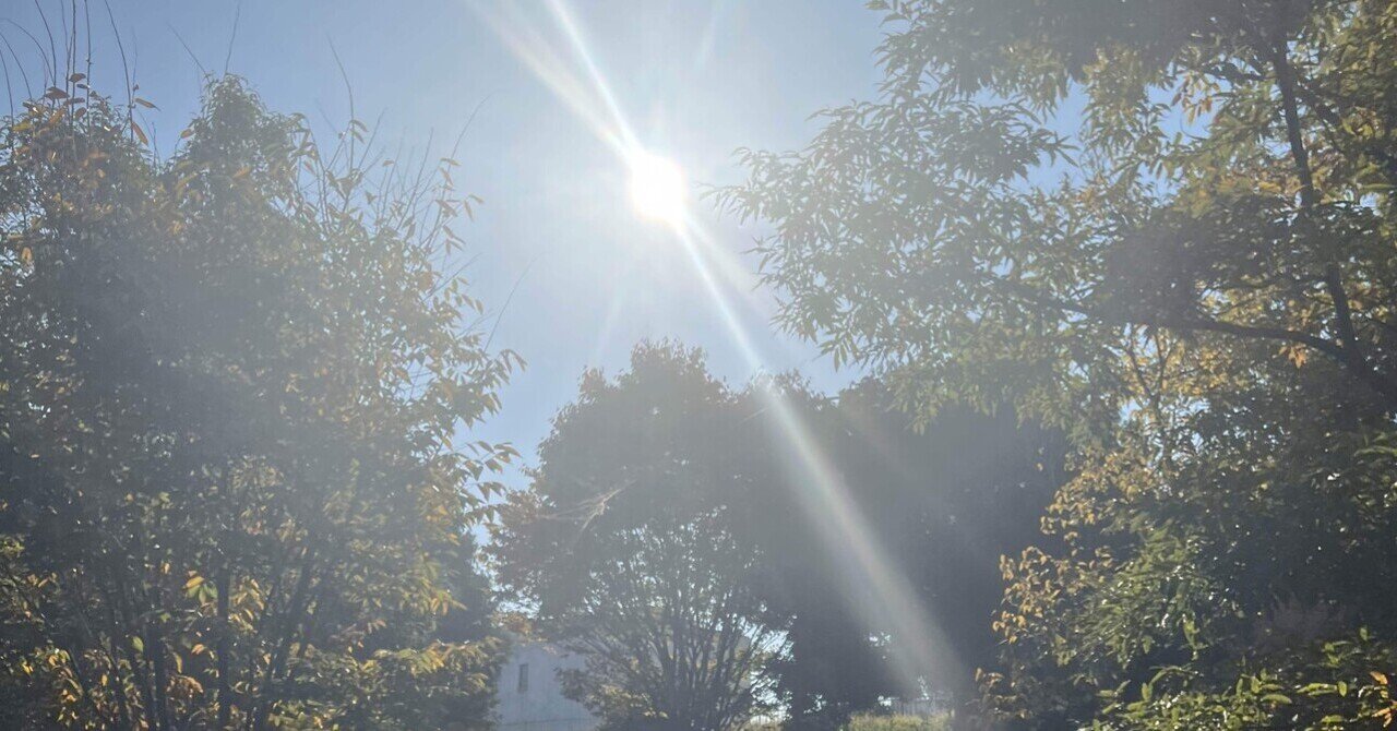 自分自身を知る｜miho.roku