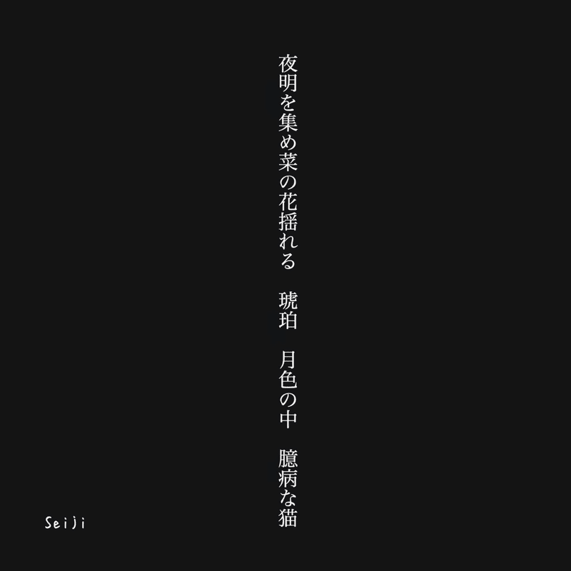 琥珀 《詩》｜seiji_arita
