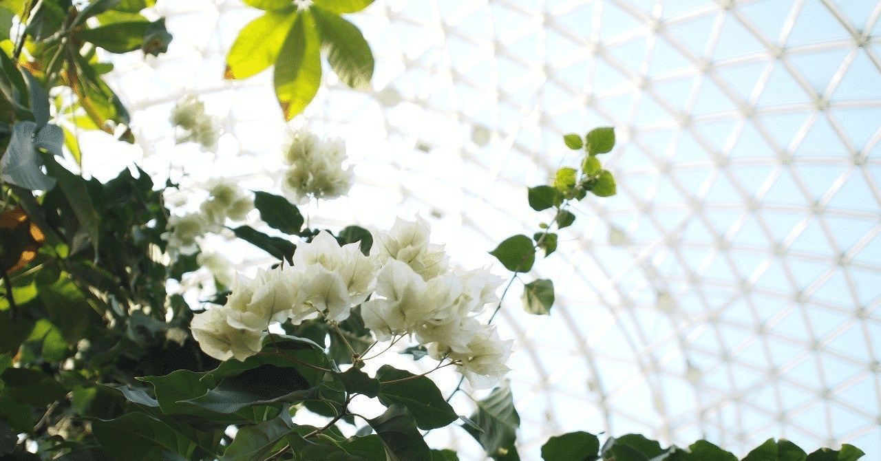 “Harvest”｜湊谷翔-Minatoya Kakeru-｜note