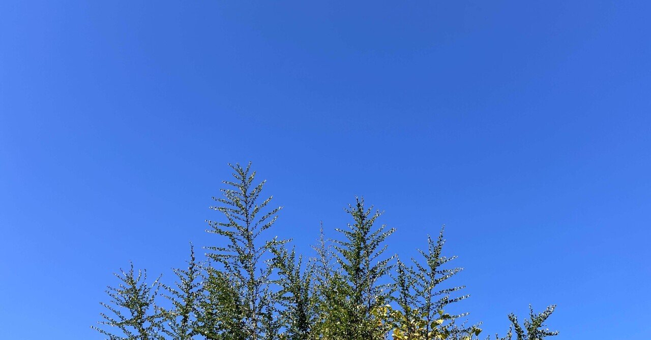 20221116(312)｜mito_k13｜note