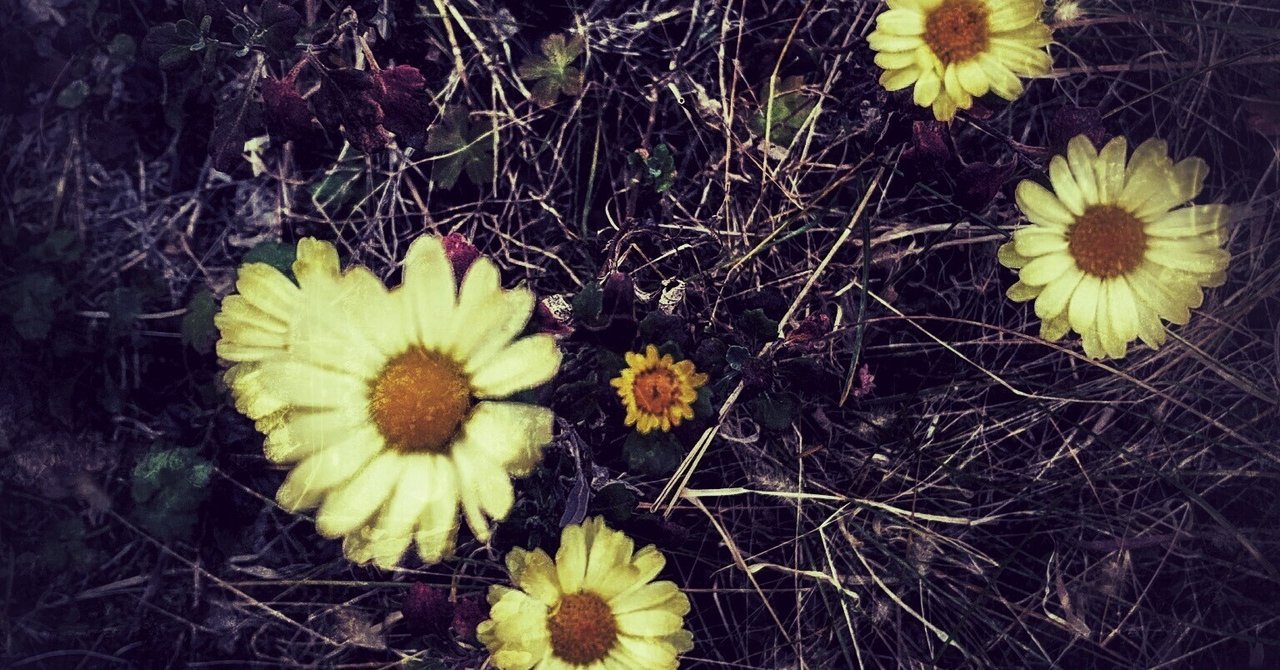 20221116｜たつきち