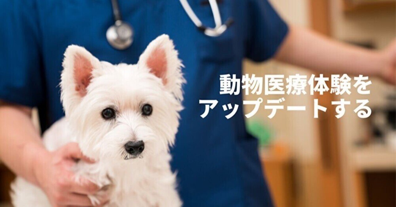 Bomoを創業した理由｜Takuya Murata