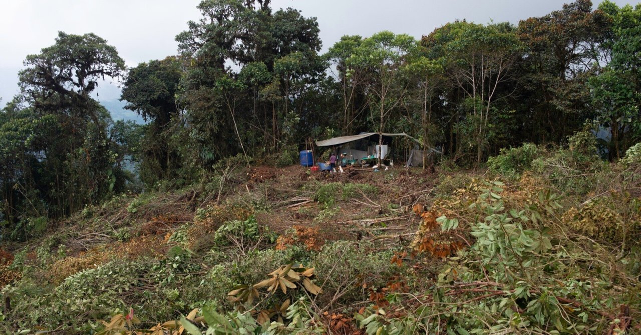 柴田大輔写真展 「あの山の記憶」｜Daisuke Shibata