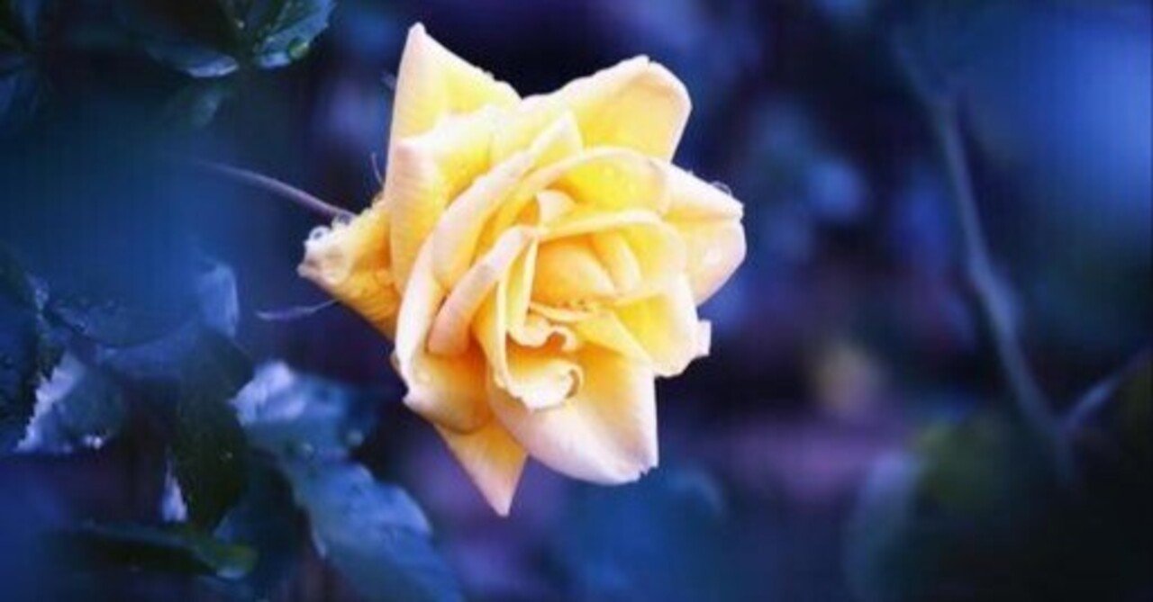 別れは突然が良い？｜OtukI｜note