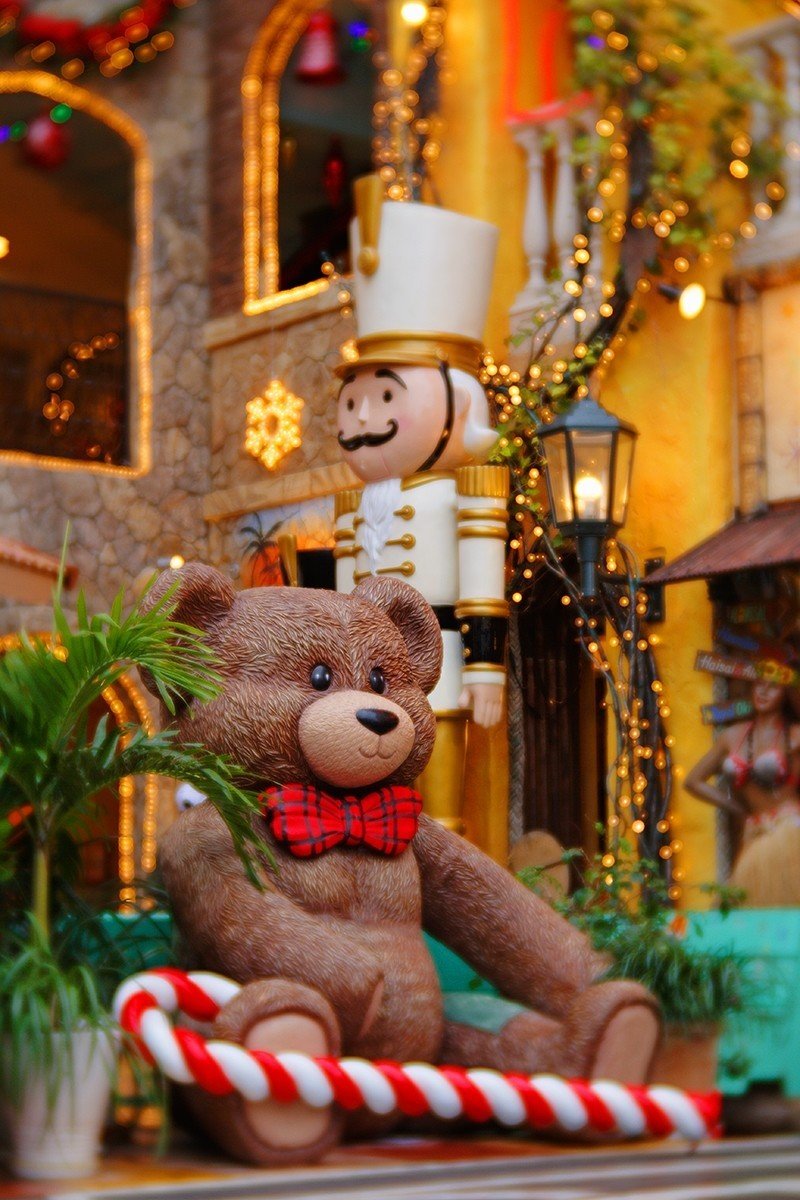 Merry Christmas｜Masaki Senko