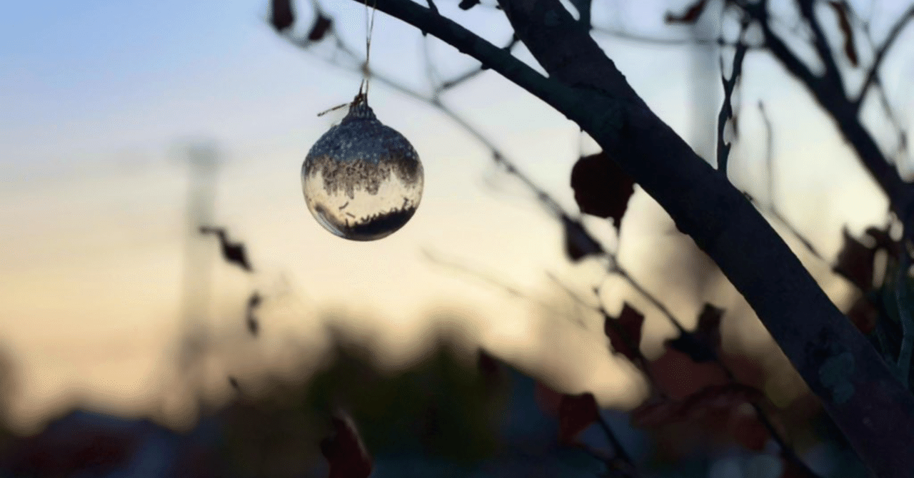 寂しさの荒れ地の猫｜ sio｜note