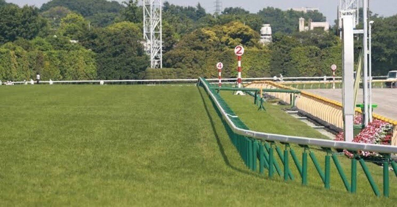 11/19(土)東京10R 14:55発走｜単複の天ちゃん