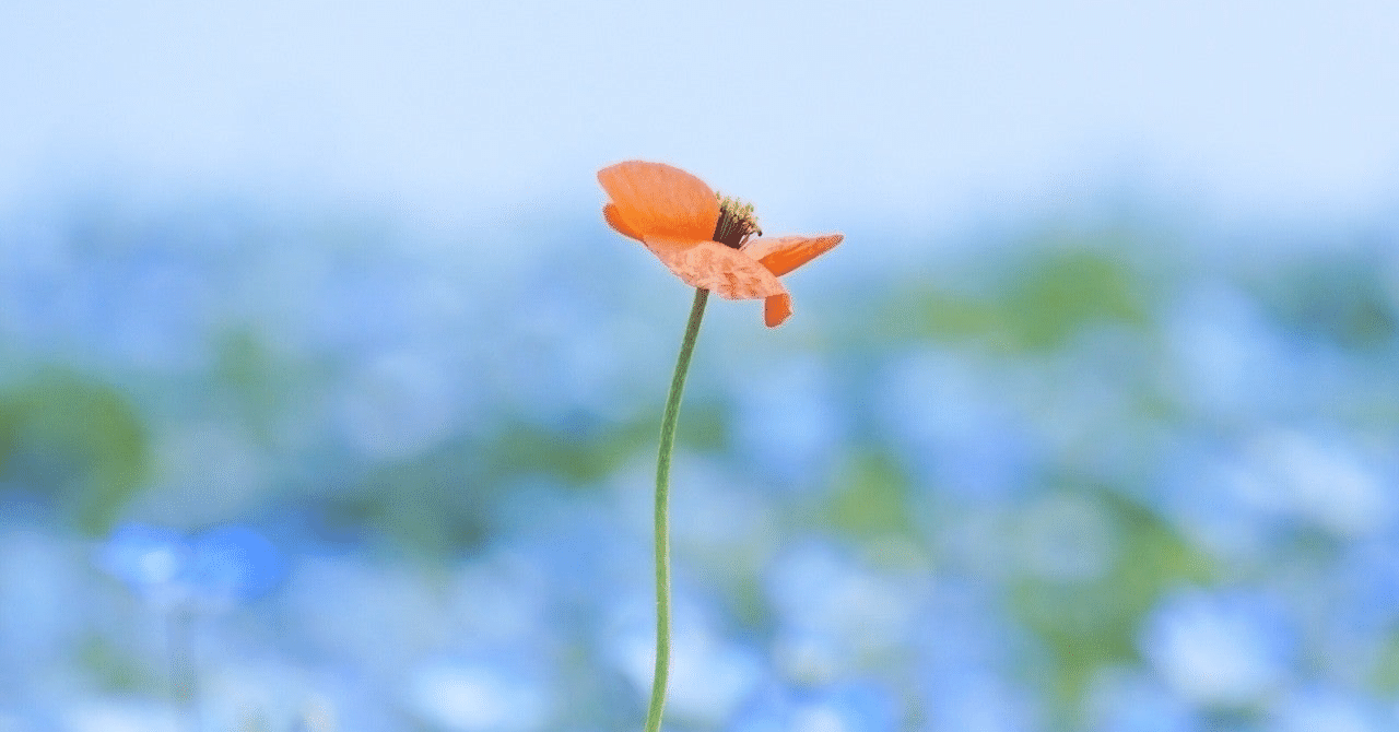 11/19.chg｜fumi｜note