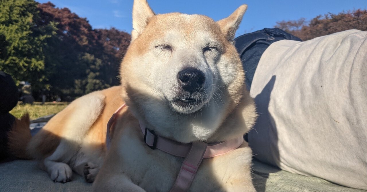 TC療法 5クール目 ＋1日目｜Kana_days｜note