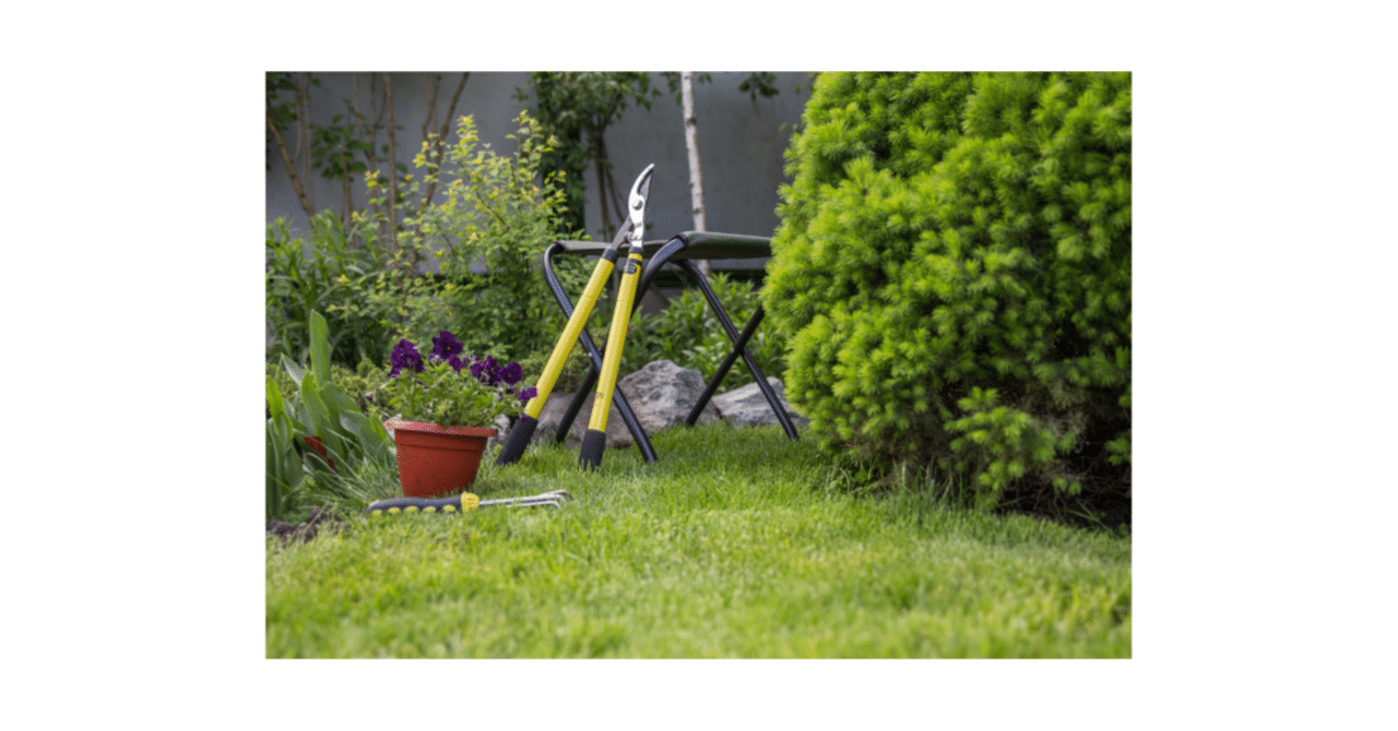 変木（へんぼく）から文芸まで｜HIROYUKI（会社員兼ライター）｜note