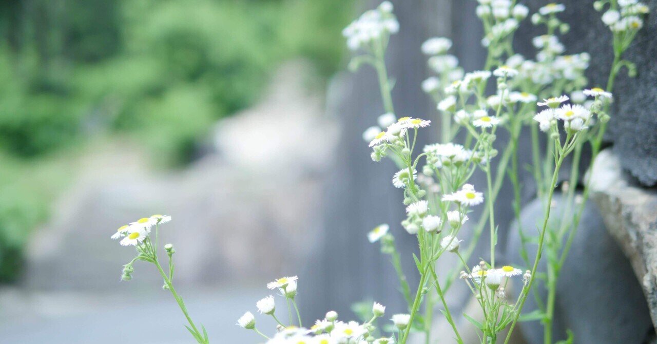 住之江7R 18:08｜競艇マニア｜note