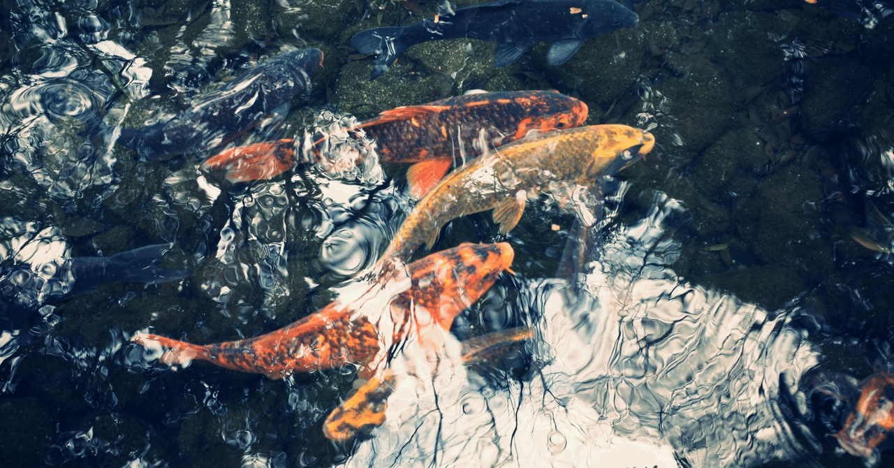 2022 広島東洋カープのベストゲーム｜hanaco_nagai