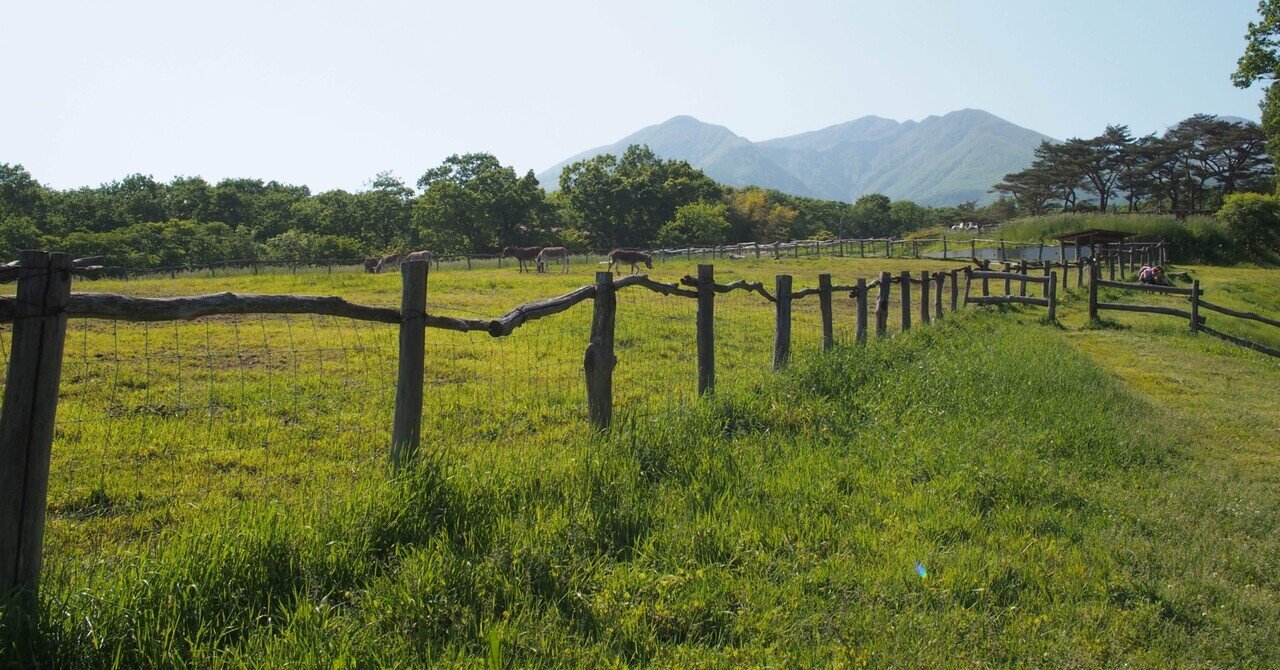 俺は買い物をやめるぞ！ジョジョーーーー！！！｜RYOKO｜note